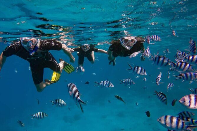 Tailor-made ocean discovery and snorkeling in Tahiti - Key Points
