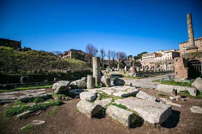 Tailor Made Private Tour of Rome Colosseum Forums Palatine Hill & Ancient Rome - Key Points