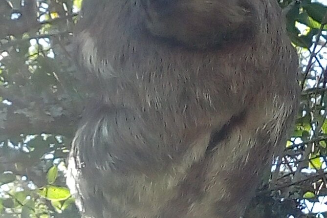 Tailor Made Tour - Exploring Rios Best Sights