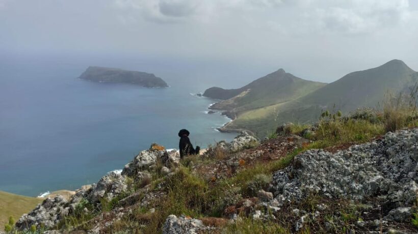 Tailored Trek: Your adventure, Your Way - Exploring Porto Santo with Tailored Trek