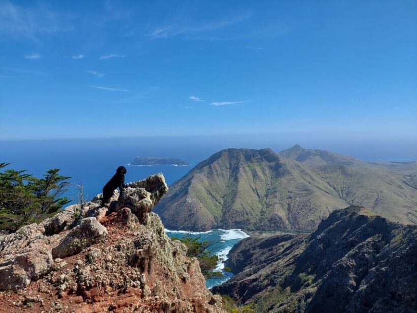 Tailored Trek: Your adventure, Your Way - The Sum Up