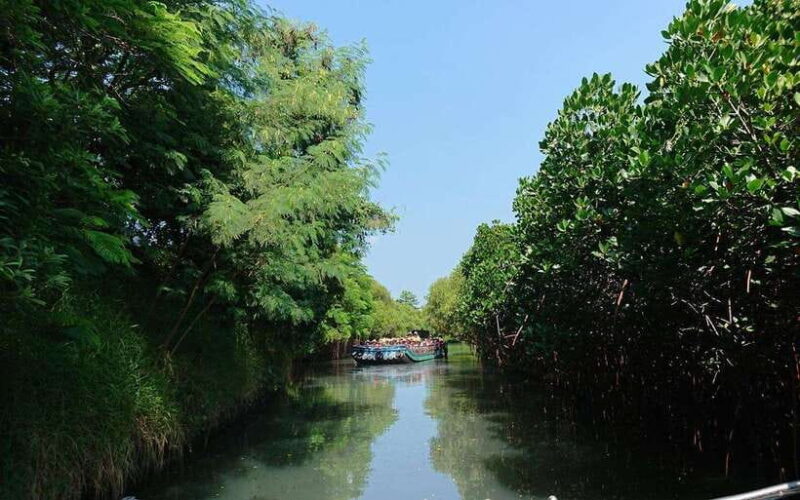 Tainan: Sicao Green Tunnel Scenic Boat Ride - Key Points