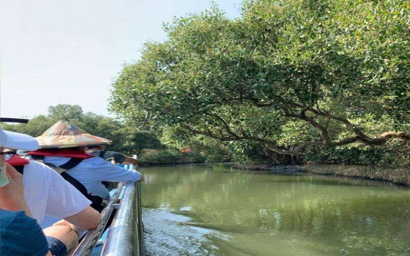 Tainan: Sicao Green Tunnel Scenic Boat Ride - Who Should Consider This Tour?