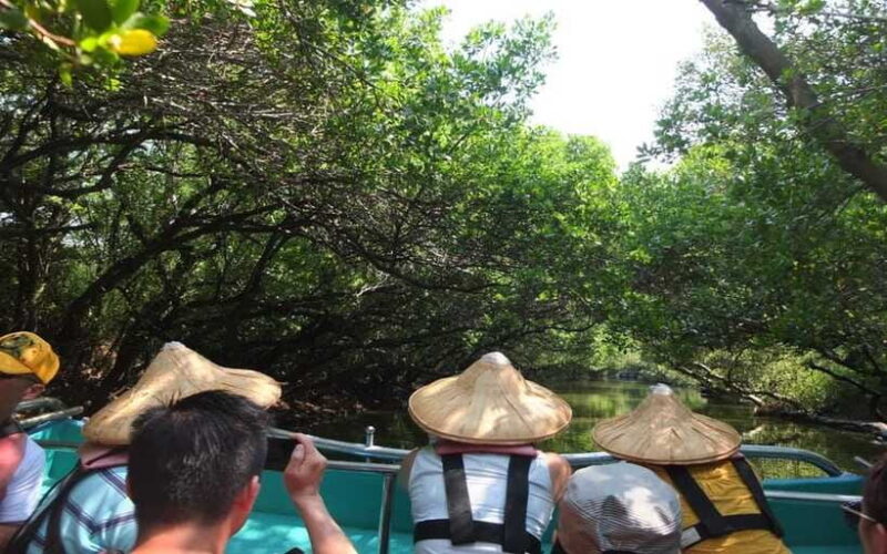 Tainan: Sicao Green Tunnel Scenic Boat Ride - Final Thoughts