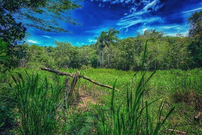 Taino Bay & amber cove 7 Damajagua Waterfall Lunch Excursion - Authenticity and Quality