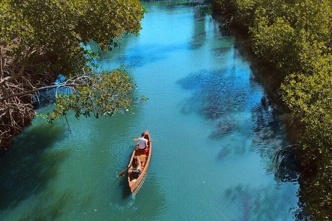 Tainos / Indigenas Los Haitises Caves and Mangroves Canoes Tour - An In-Depth Look into the Los Haitises Canoe Tour