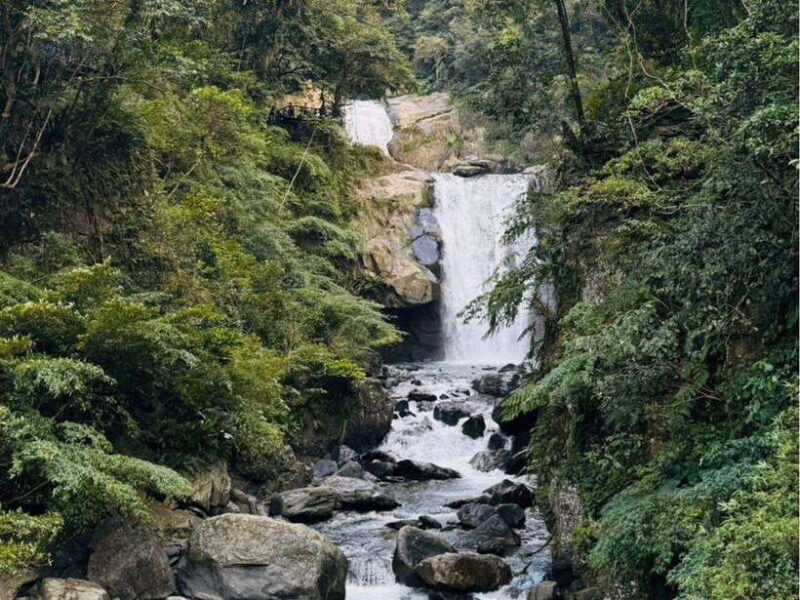 Taipei: 8 Hours Private Day Tour in Wulai with Benz Vito - First Stop: Neidong National Forest Recreation Area