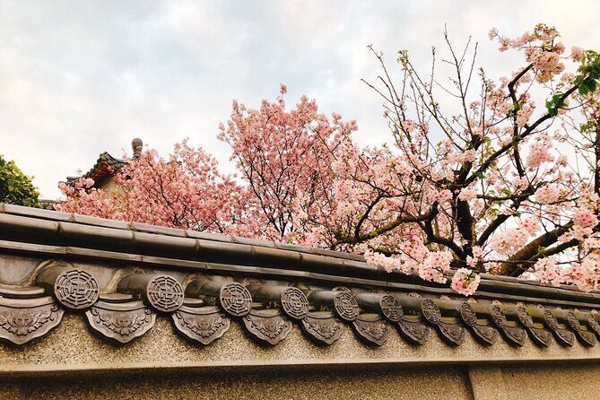 Taipei Cherry Blossom Day Tour to Yangmingshan and Tamsui - Exploring Taipei’s Cherry Blossom Hotspots