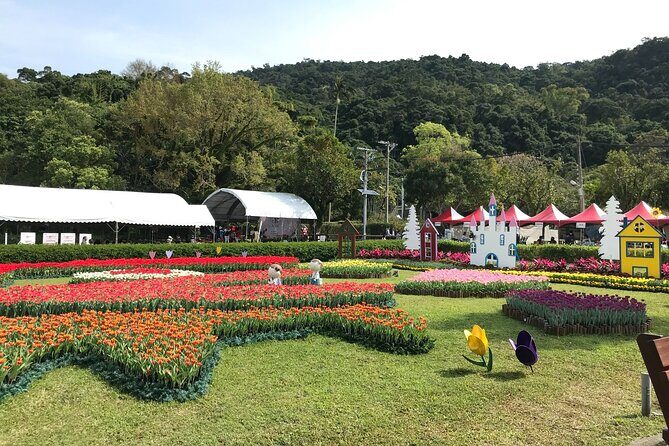 Taipei Cherry Blossom Day Tour to Yangmingshan and Tamsui - Is This Tour Right for You?