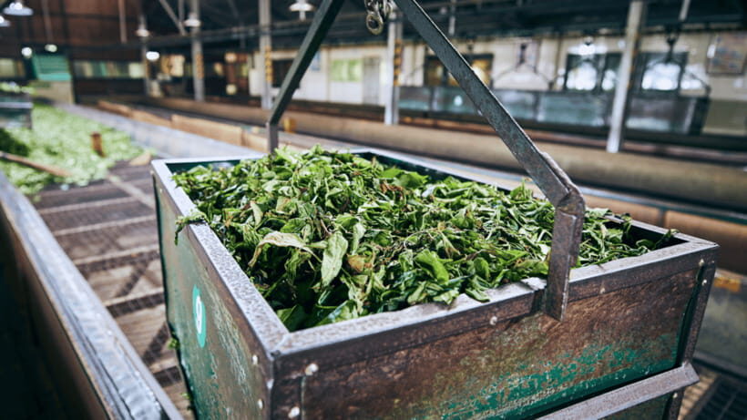 Taipei: Daxi Old Street and Tea Factory, Xiaowulai Day Tour - A Closer Look at the Itinerary