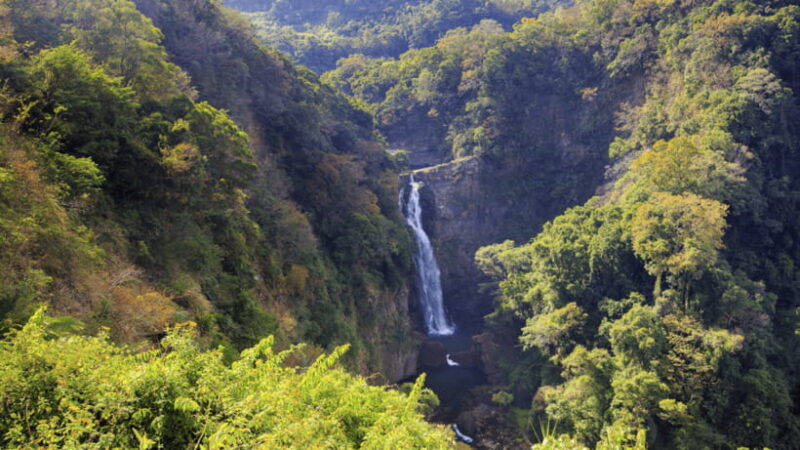 Taipei: Daxi Old Street and Tea Factory, Xiaowulai Day Tour - Key Points