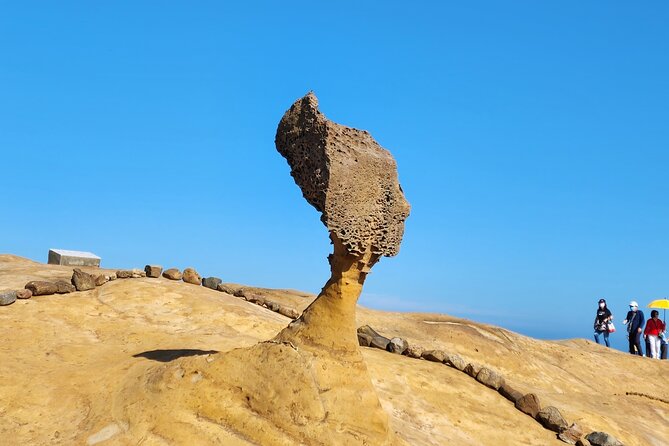 Taipei day tour(northeast coast tour or city tour) MERCEDES VAN - Key Points