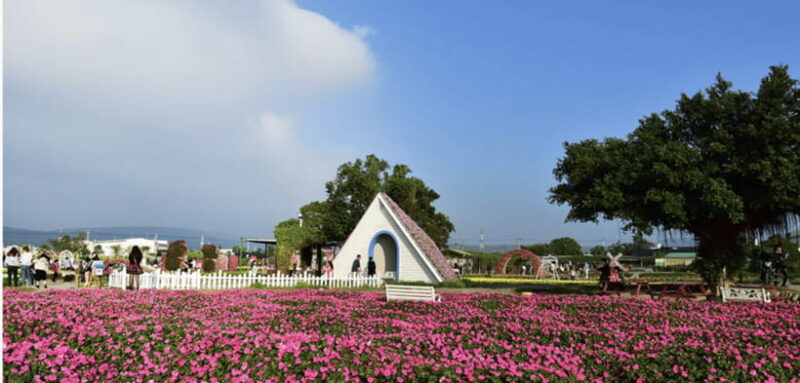 Taipei-Taichung-Taipei Private day trip - The Itinerary in Detail