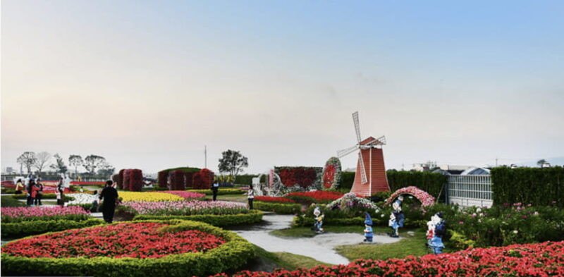 Taipei-Taichung-Taipei Private day trip - The Practical Side: What’s Included and What’s Not