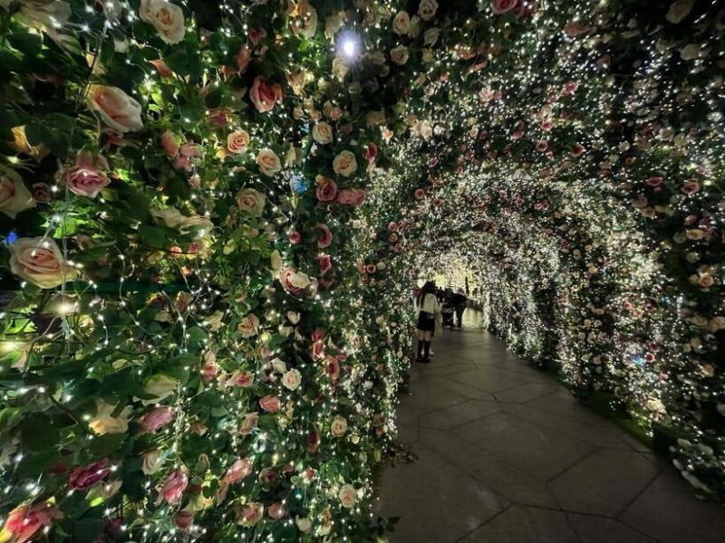 Taipei: Walking Christmas Photography and Shopping Tour - Who Will Appreciate This Tour?