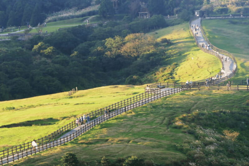 Taipei: Yangmingshan & Beitou Full-Day Tour - Ending with Local Flavors at Shilin Night Market