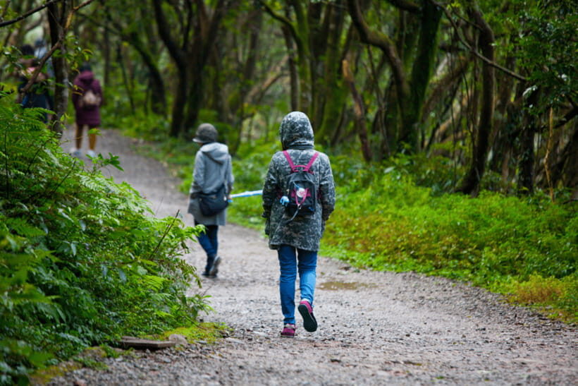 Taipei: Yangmingshan, Shifen, Jiufen & Yehliu Private Tour - FAQs