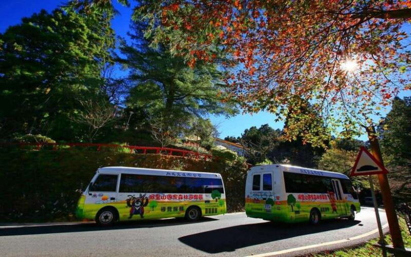 Taiwan: Alishan National Forest Recreation Area E-ticket - Who This Tour Is Best For