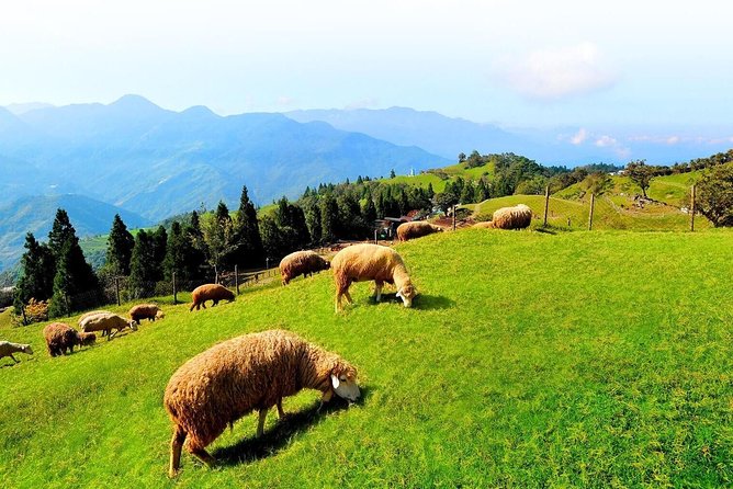 Taiwan Multi-Day Classic Tour - Exploring Northern Taiwan’s Natural Wonders