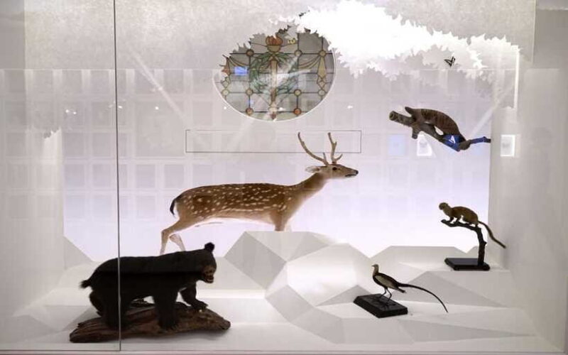 Taiwan Museum, MOCA Taipei & Miniatures Museum Entry Tickets - The Bottom Line: Who Will Appreciate This Tour?