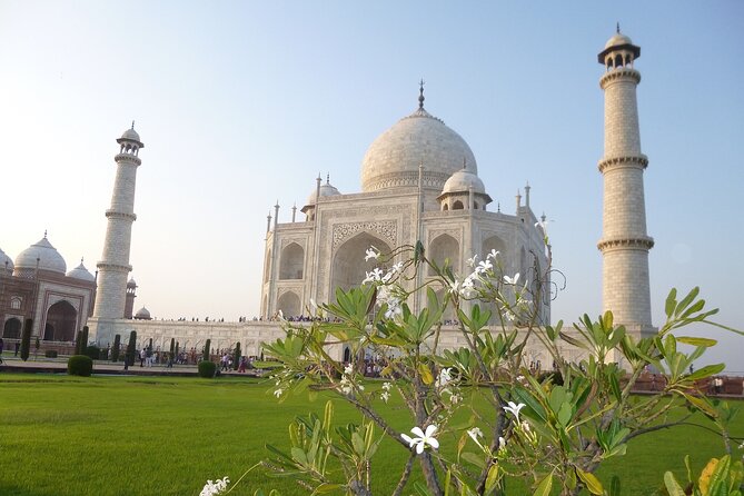 Taj Mahal & Agra Fort Tour from Delhi By Car with 5* Lunch - Why Choose This Tour?