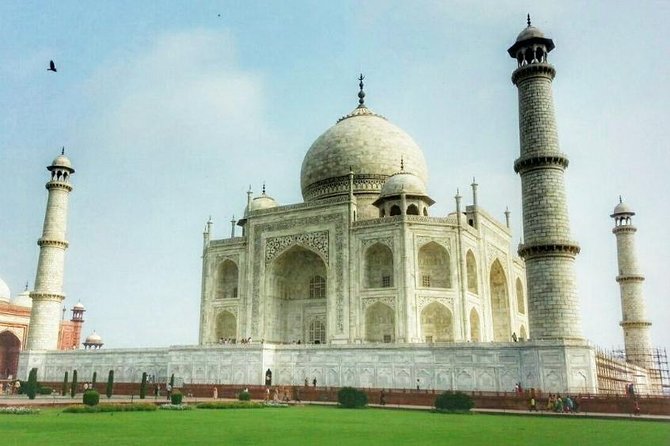 Taj Mahal Day Tour From Delhi With Agra Fort - Private Tour - Real Traveler Feedback