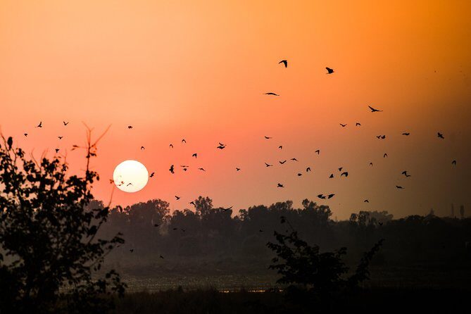 Taj Mahal Private Guided Tour from Delhi with Entrance - Who Should Consider This Tour?