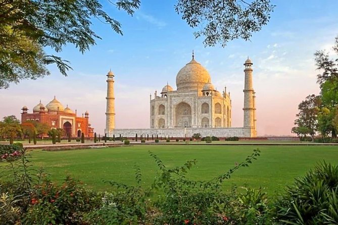 Taj Mahal Sunrise and Agra Fort Tour From Delhi By Private Car - Authentic Experiences and Local Insights