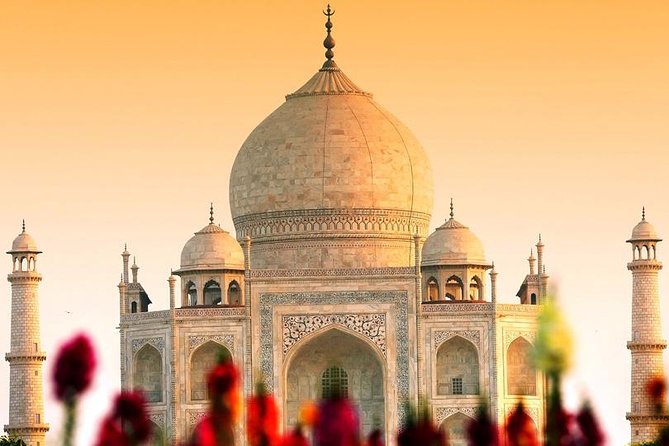 Taj Mahal Sunrise and Agra Fort Tour From Delhi By Private Car - Pricing and Value