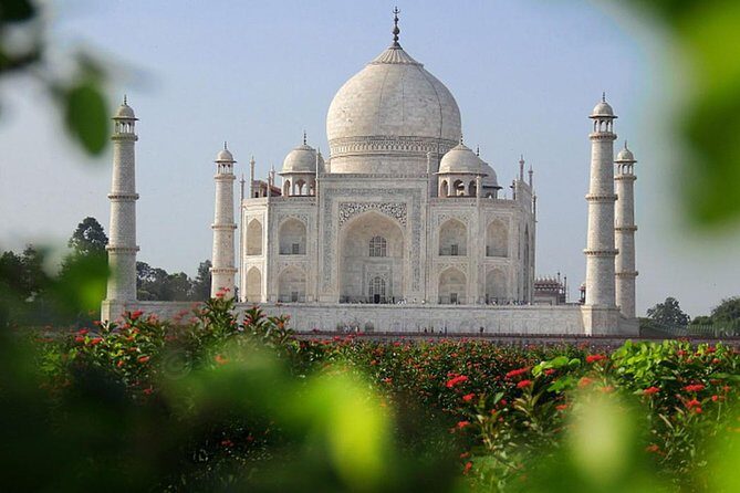 Taj Mahal Sunrise and Agra Fort Tour from Jaipur - Key Points