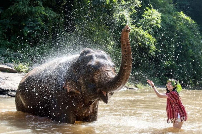 Taj Mahal Sunrise & Elephant Rescue Tour from Delhi - What Makes This Tour Stand Out?
