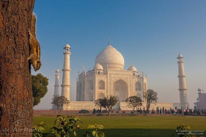 Taj Mahal tour with Elephant and Bear conservation center from Delhi - Who Will Love This Tour?