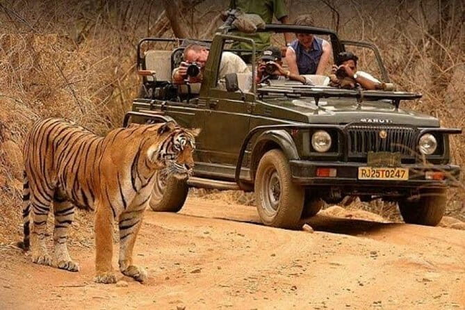 Taj Mahal With Rajasthan Desert Tour 15 Days Ex. Delhi - What’s the Experience Like?