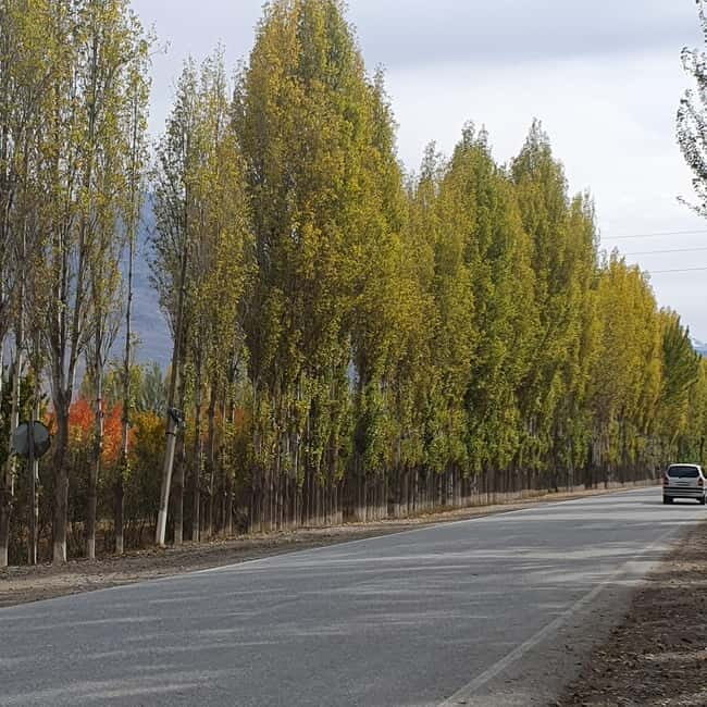 Tajikistan Seven Lakes Day TripFrom Samarkand - Authentic Experiences and Visitor Feedback