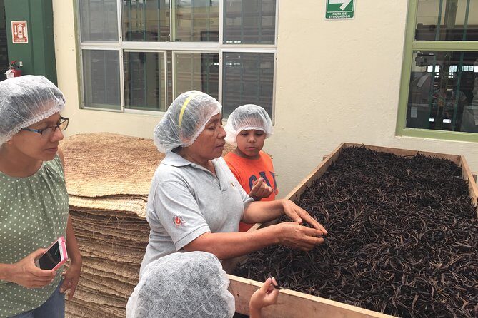 Tajin Ruins Day Trip and Vanilla Factory Experience - The Journey into Veracruz’s Heart: Visiting El Tajín