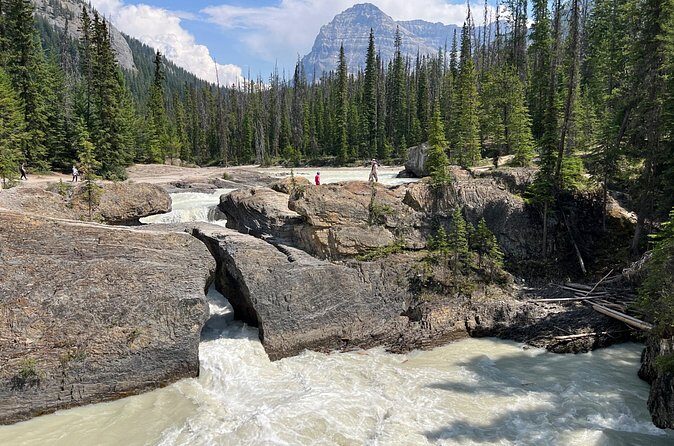 Takakkaw Falls Yoho National Park Bus Tour - Analyzing the Value