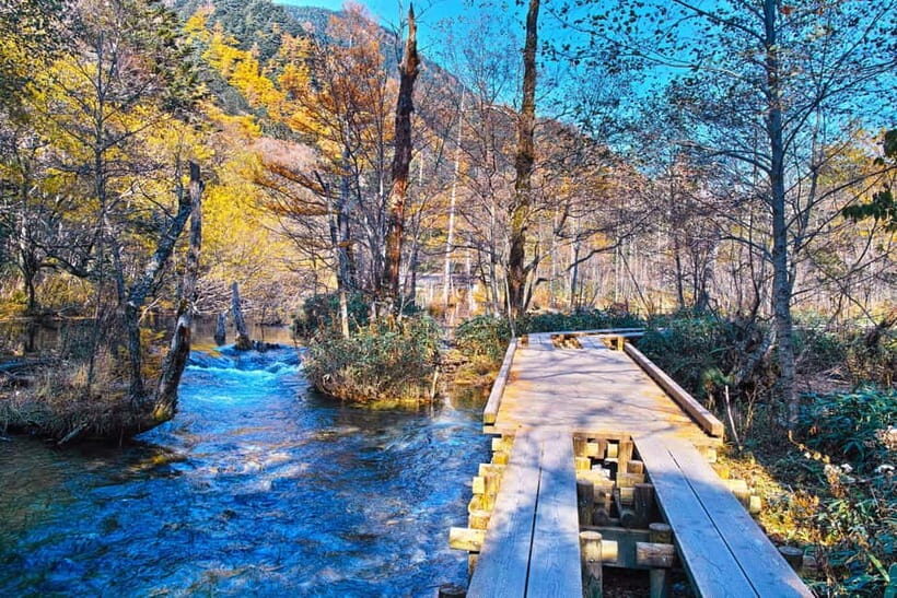Takayama Autumn Private Tour Kamikochi & Shin-Hotaka Ropeway - Why This Tour Works Well
