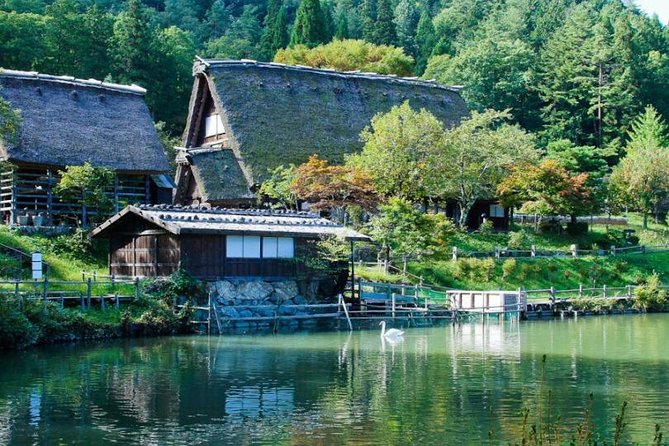 Takayama Full-Day Private Tour With Government Licensed Guide - Why Choose This Tour
