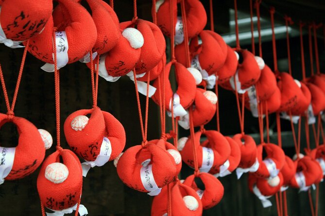 Takayama Half Day Tour (Private Guide) - Accessibility