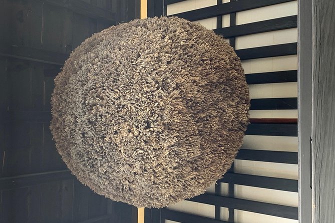 Takayama Walking Tour & Hida Folk Village - Group Size and Accessibility