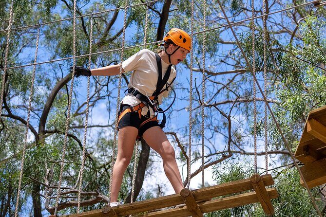 Take the Challenge and Conquer the Salisbury Treetops - A Closer Look at the Salisbury Treetops Experience