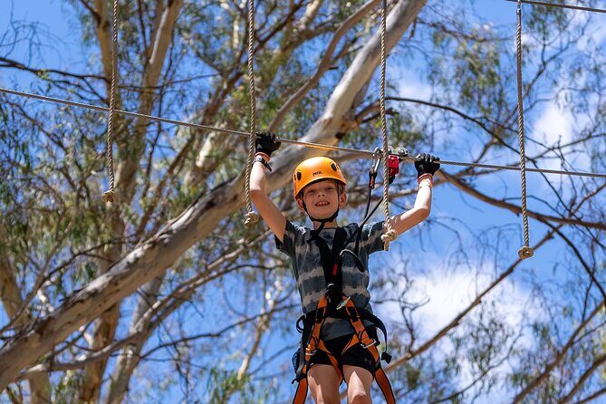 Take the Challenge and Conquer the Salisbury Treetops - The Practical Details
