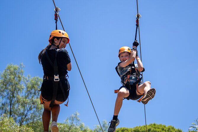 Take the Challenge and Conquer the Salisbury Treetops - Who Will Love Salisbury Treetops?