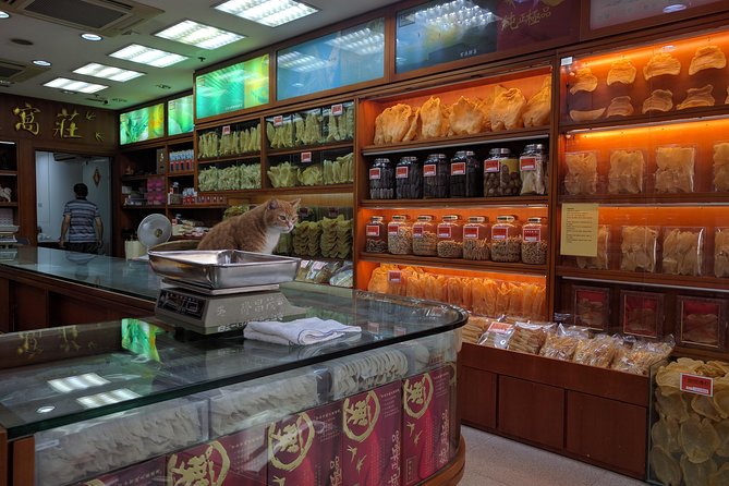 Taking you to every corner of Hong Kong! - Key Points