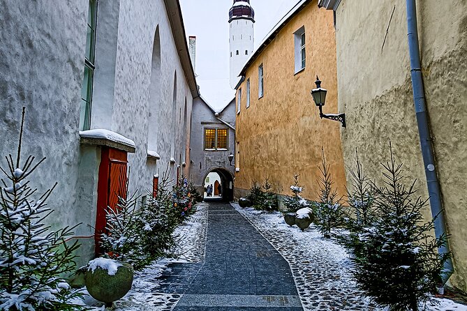 Tales of Old Tallinn 2-hour Walking Tour - Traveler Reviews and Why They Recommend This Tour