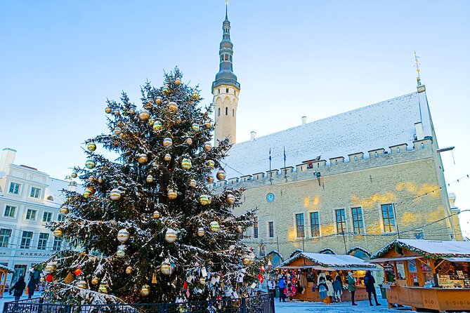 Tales of Tallinn 4 Hour Sightseeing Tour - What Travelers Say