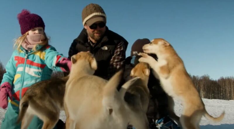 Talkeetna: Alaskan Winter Dog Sledding Experience - Who Will Enjoy This Tour?