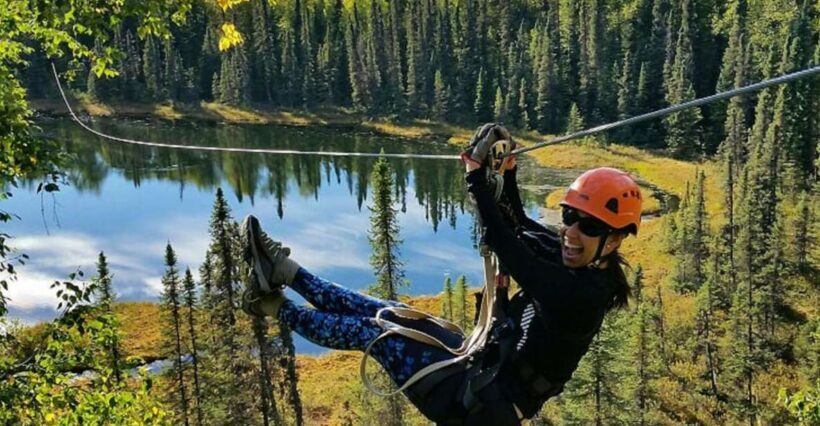 Talkeetna: Denali Zipline Tours - An Introduction to Talkeetna: The Gateway to Wilderness Adventure