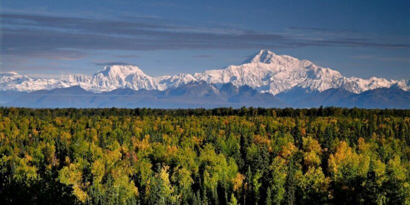 Talkeetna: Denali Zipline Tours - The Educational and Scenic Value