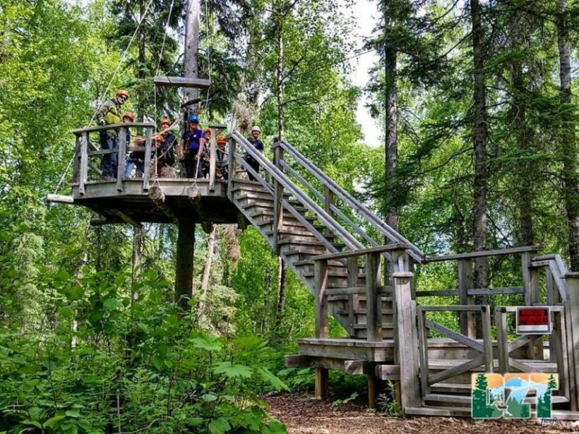 Talkeetna: Denali Zipline Tours - Who Will Love This Tour?